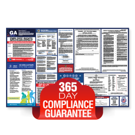 Georgia State and Federal Labor Law Posters 2025 | LLP Online